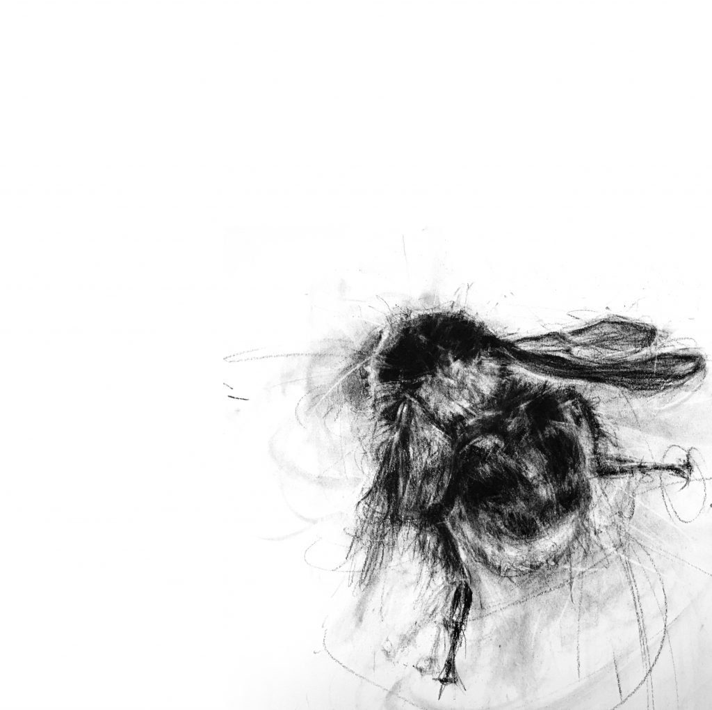 Homepage - April Coppini